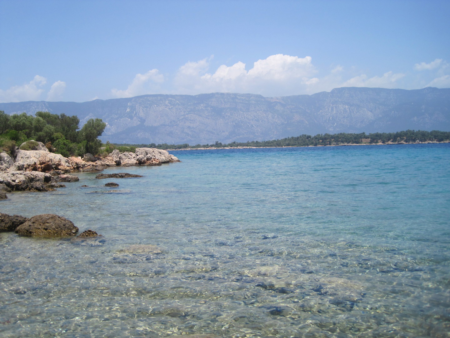 Karaca
